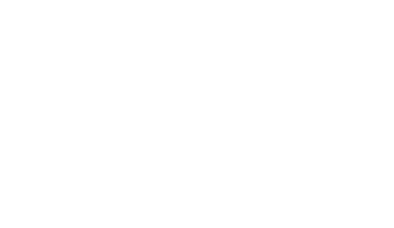 The St. Louis Riverfront